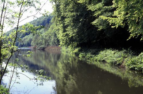 40 Jahre Naturschutzgebiet „Vogelhalde Sindringen-Ohrnberg ...